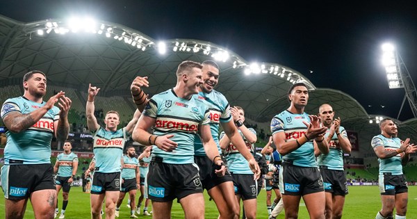 NRL 2024, round 10, match highlights, judiciary, Dally M votes, Dally M ...