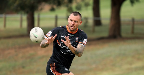 NRL 2023, David Klemmer, Benji Marshall, Tim Sheens, Wests Tigers, new ...