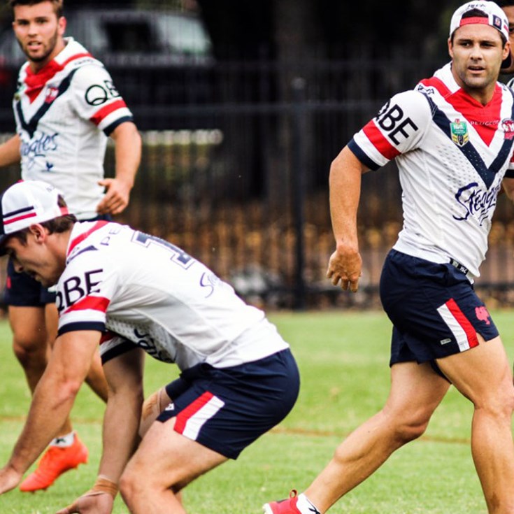 Official NRL profile of Lindsay Collins for Sydney Roosters - NRL