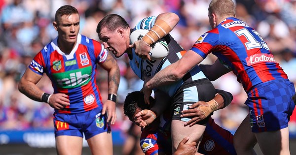 Sharks overcome spirited Knights | NRL.com