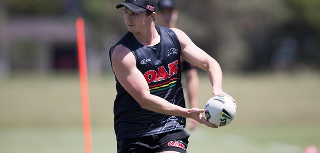 Official NRL profile of Dylan Edwards for Penrith Panthers - NRL