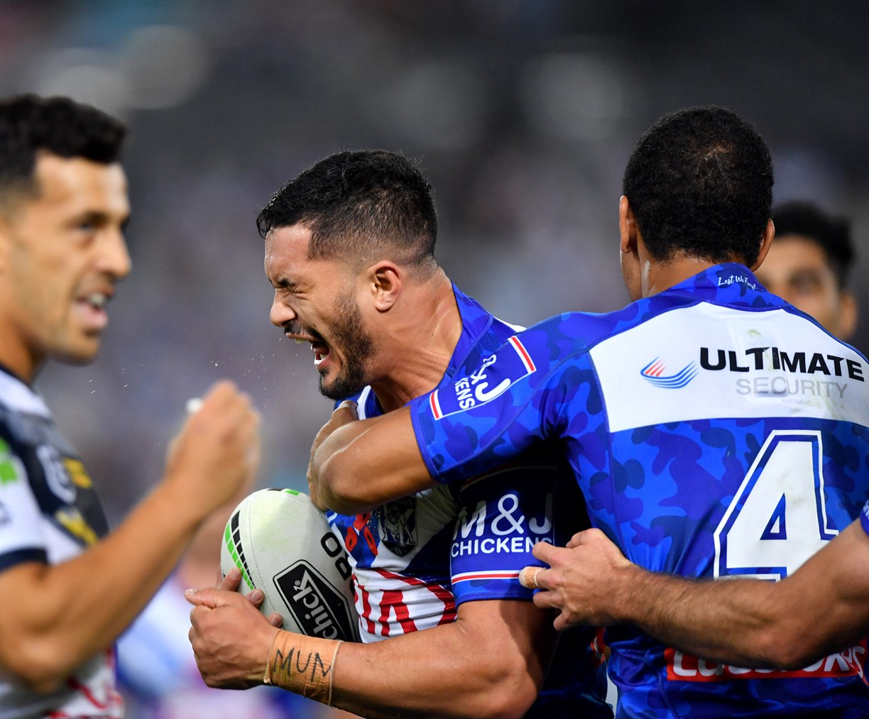 Best Bulldogs photos of 2019 | NRL.com