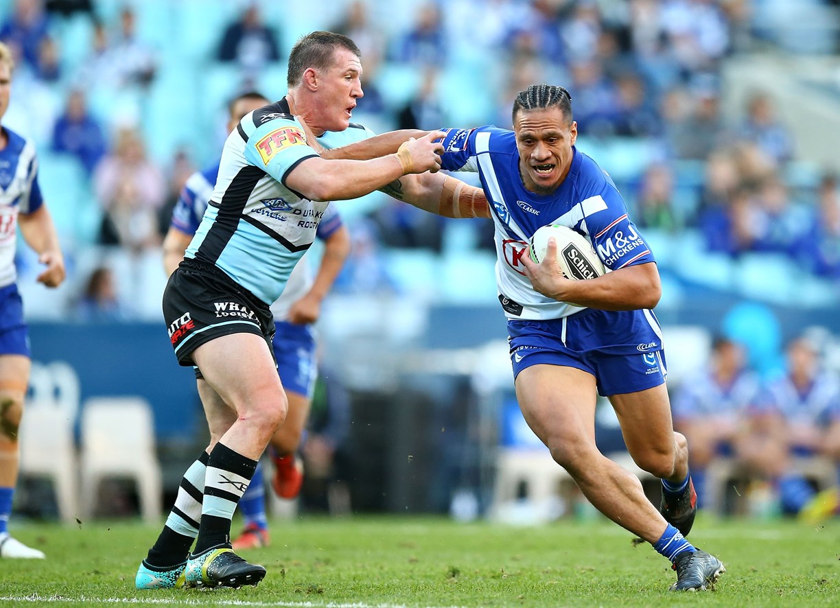 Best Bulldogs photos of 2019 | NRL.com