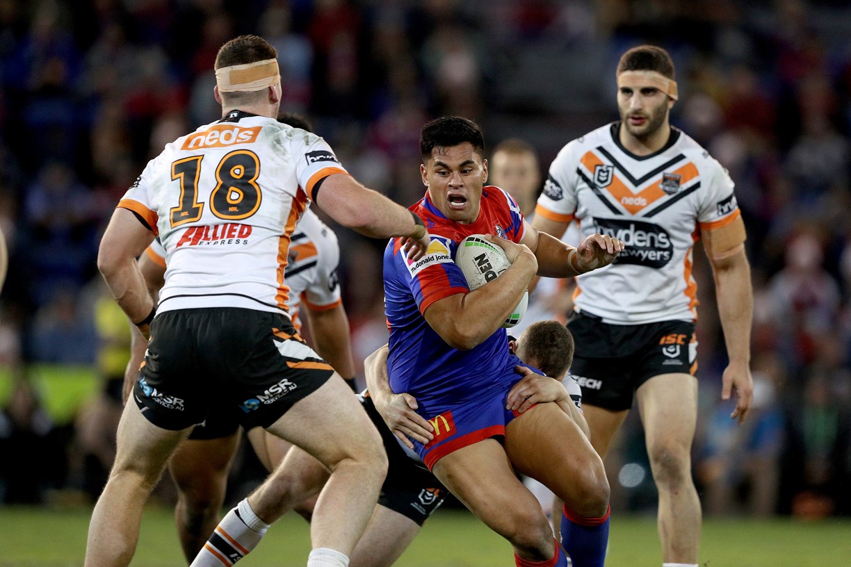 Best Knights photos of 2019 | NRL.com
