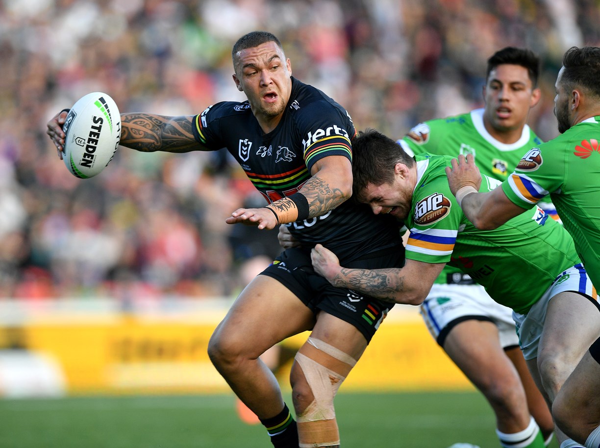Best Panthers photos of 2019 | NRL.com