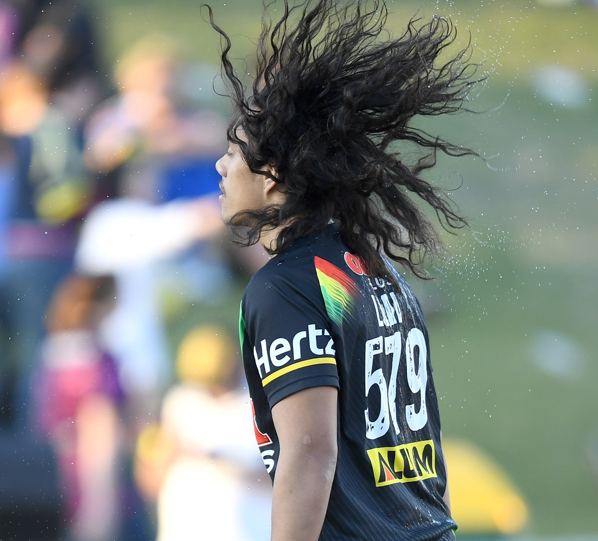 Best Panthers photos of 2019 | NRL.com