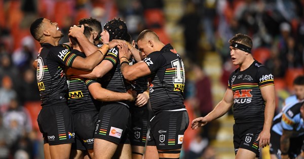 Best Panthers photos of 2019 | NRL.com