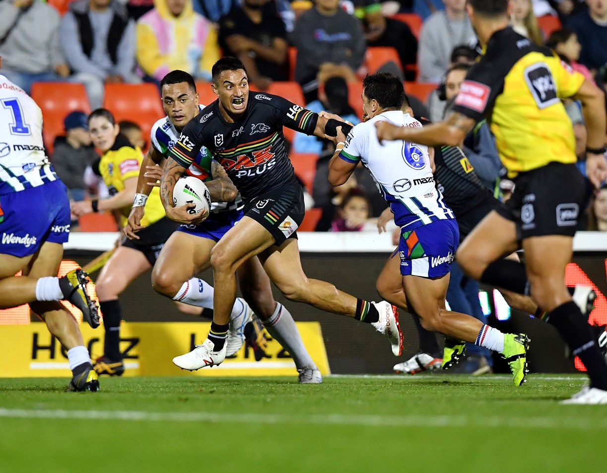 Best Panthers photos of 2019 | NRL.com