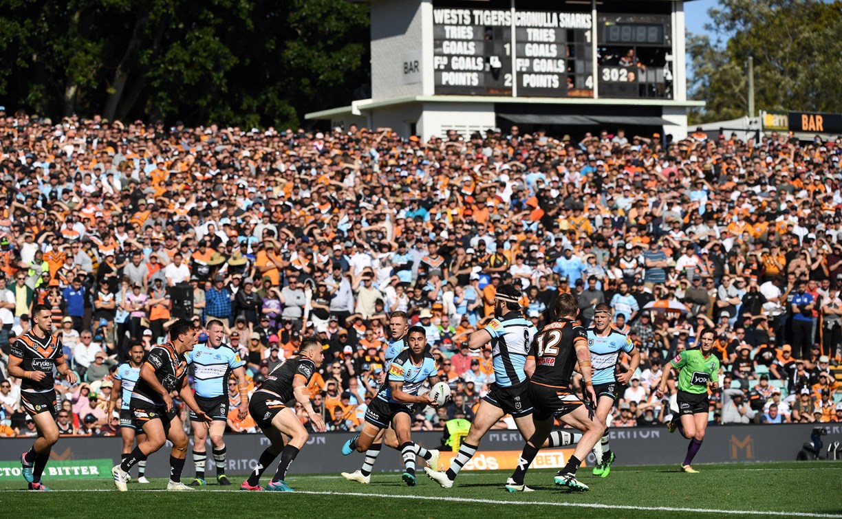 Best Sharks photos 2019 | NRL.com