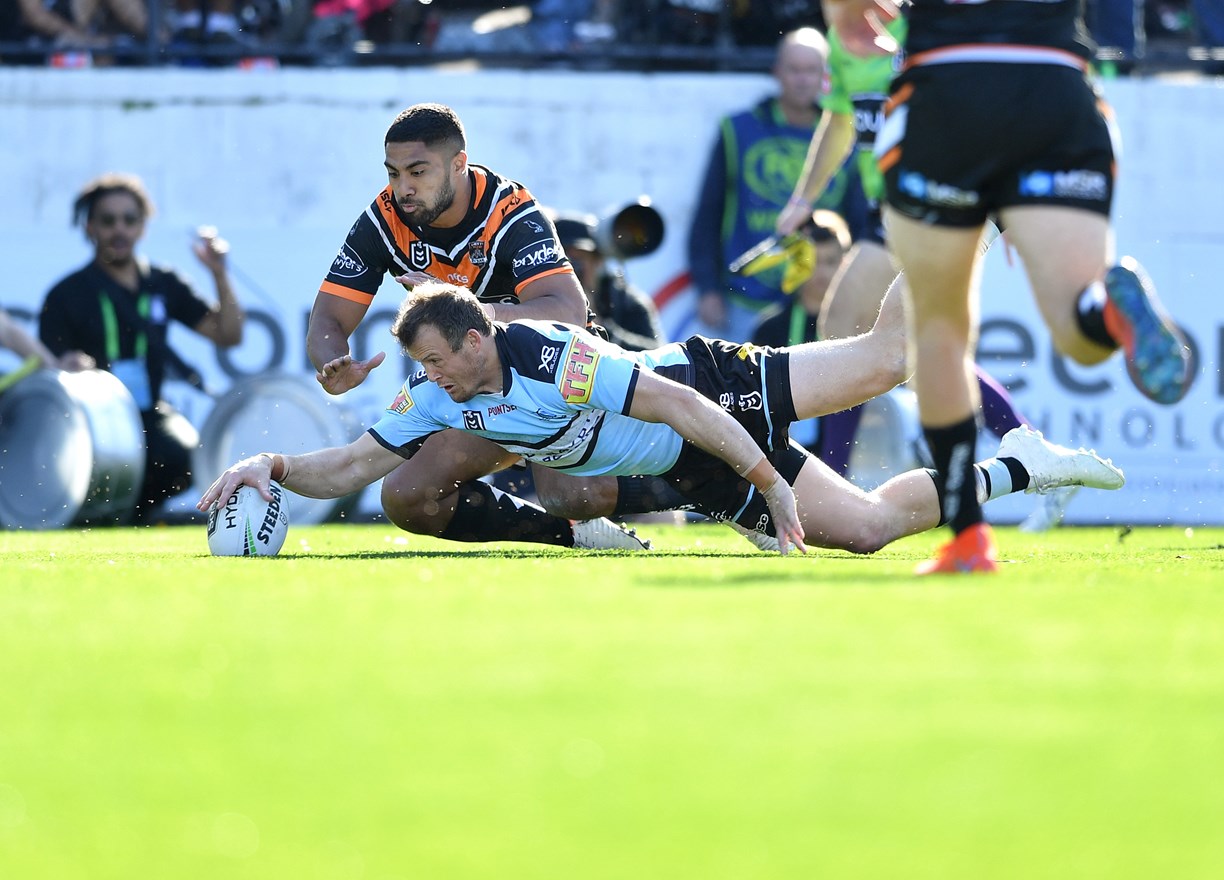 Best Sharks photos 2019 | NRL.com