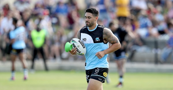 Shaun Johnson warming to Cronulla Sharks role with experience around ...
