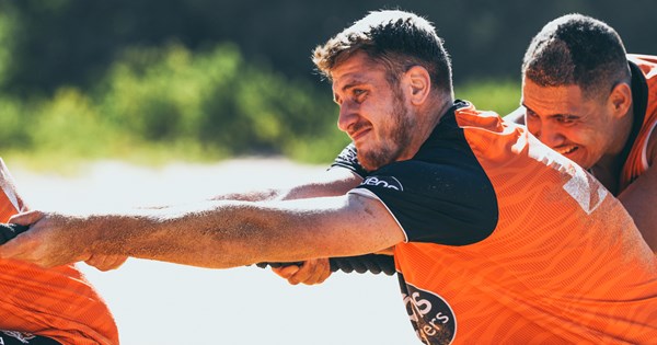 NRL 2020: Paul Momirovski, Harry Grant, Wests Tigers, Melbourne Storm ...