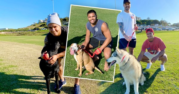 NRL 2020: NZ Warriors, biosecurity protocols encourage players to work ...