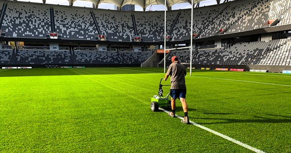 NRL 2020: Bankwest Stadium turf treated like a high-class athlete | NRL.com