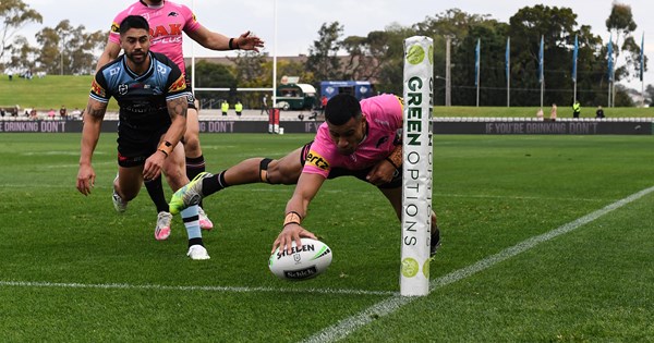 NRL 2020: Stephen Crichton, Penrith Panthers, young centre in rare try ...