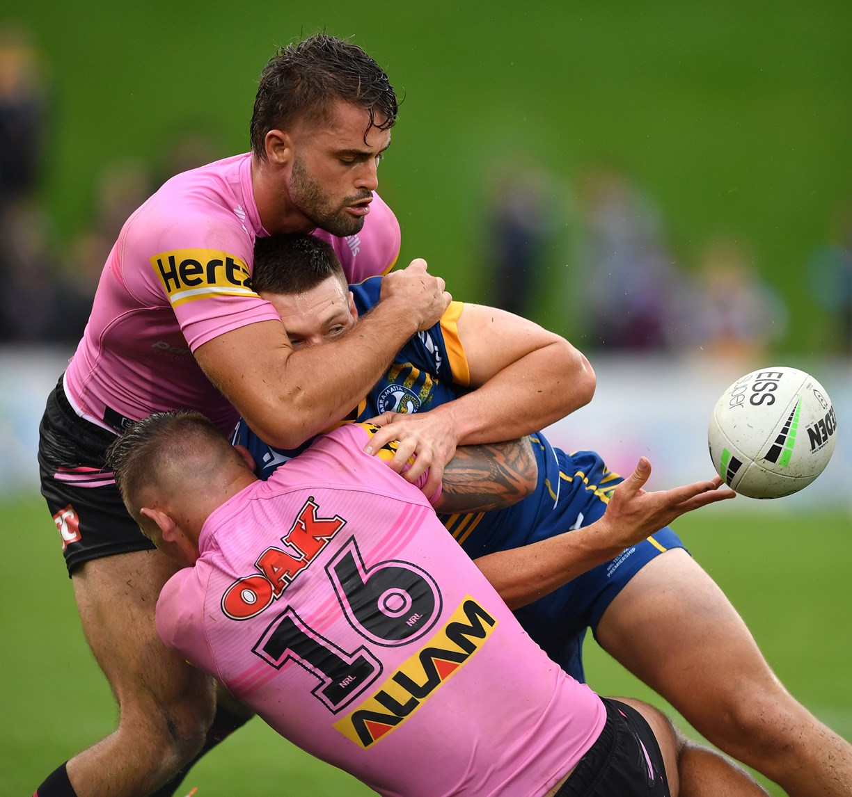 Best images of: Pre-Season | NRL.com