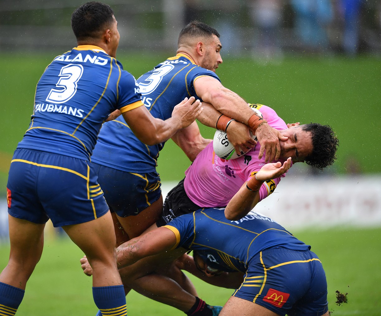 Best images of: Pre-Season | NRL.com