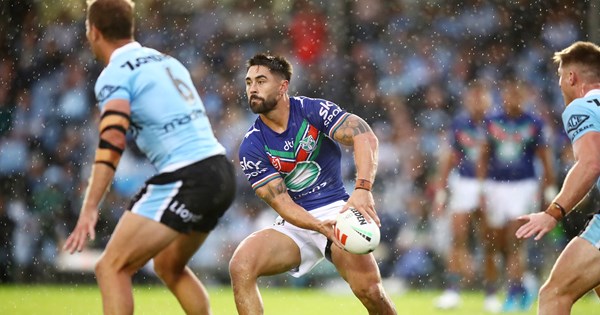 NRL Fantasy, NRL 2023, Fantasy cash cows, Nathan Cleary, Shaun Johnson ...