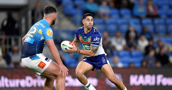 NRL 2023, NRL Fantasy, analysis, Fantasy cheapies, Fantasy cash cows ...