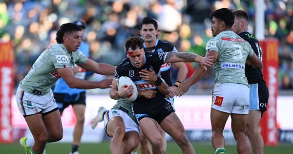 Raiders v Sharks - Round 8, 2024 - Match Centre | NRL.com