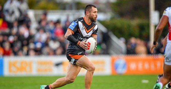 NRL 2024, Judiciary charges, suspension news, latest charges, details ...