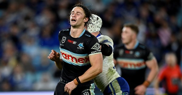 NRL 2024, Cronulla Sharks, Nicho Hynes, this will shape him, Sharks ...