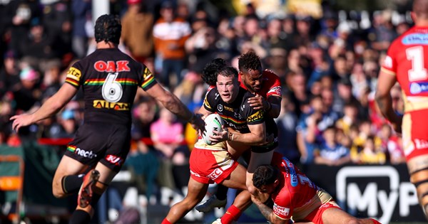 Panthers v Dolphins - Round 20, 2024 - Match Centre | NRL.com